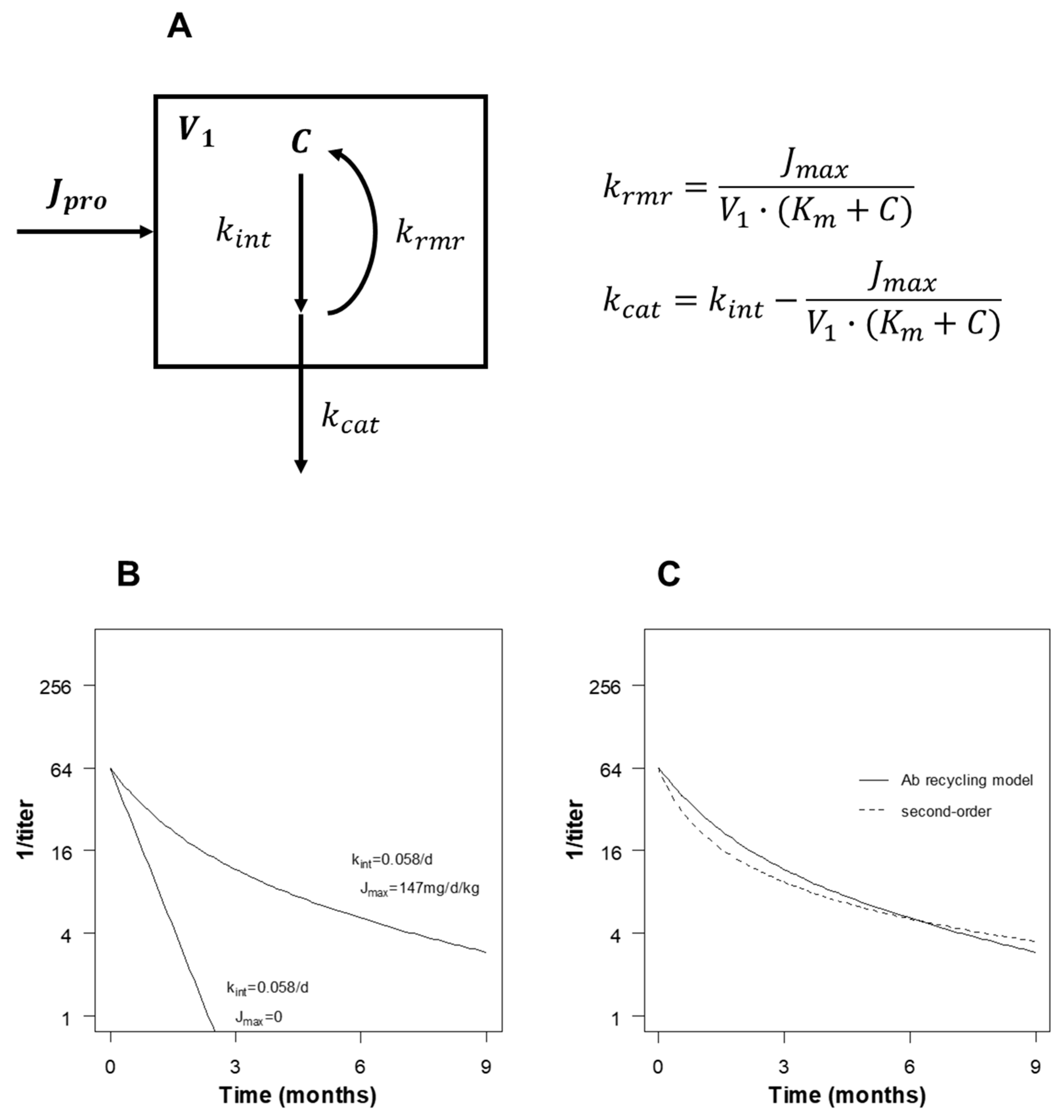 Kinetics of RPR Decline in Pregnant Persons Treated for Syphilis in ...