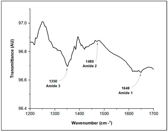 Silver Nanoparticles from Duddingtonia flagrans: Evaluation of ...
