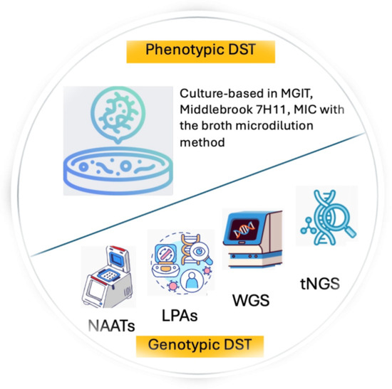 Strategies to Enhance Diagnostic Capabilities for the New Drug ...
