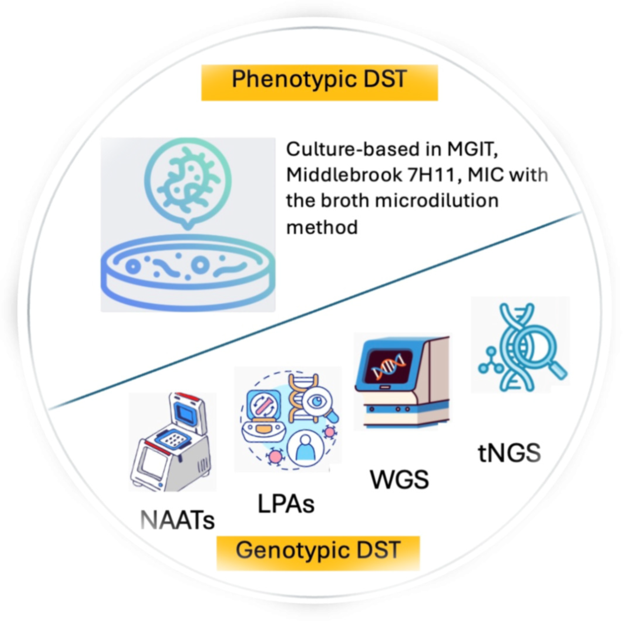 Strategies to Enhance Diagnostic Capabilities for the New Drug ...