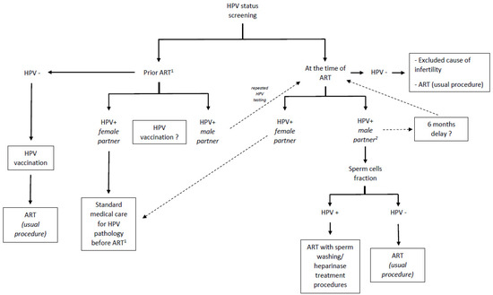 Impact of Human Papillomavirus (HPV) on Male and Female Fertility