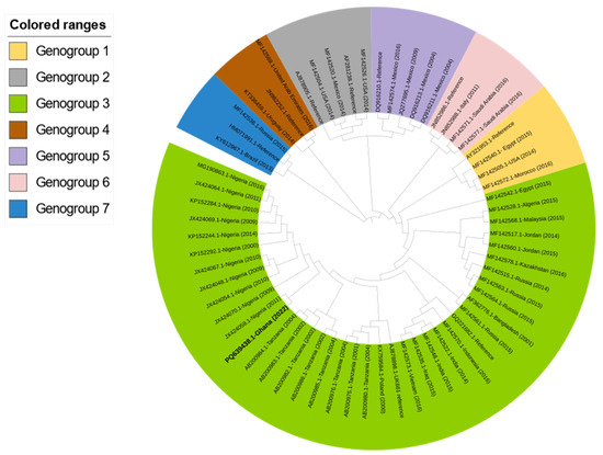 Pathology and VP2-Based Characterization of Infectious Bursal Disease ...