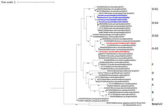 First Detection of Alphacoronavirus in Bats from the World’s Largest ...