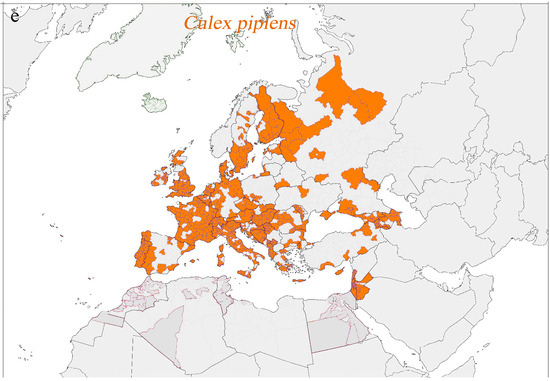 Introduction of Vector-Borne Infections in Europe: Emerging and Re ...
