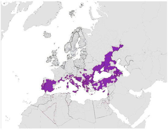 Introduction of Vector-Borne Infections in Europe: Emerging and Re ...