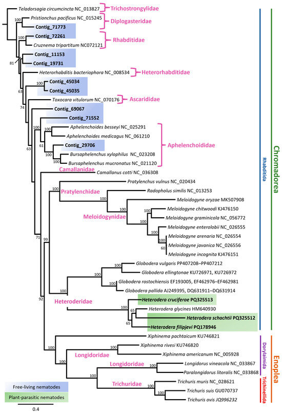 High-Throughput Sequencing Enables Rapid Analyses of Nematode ...