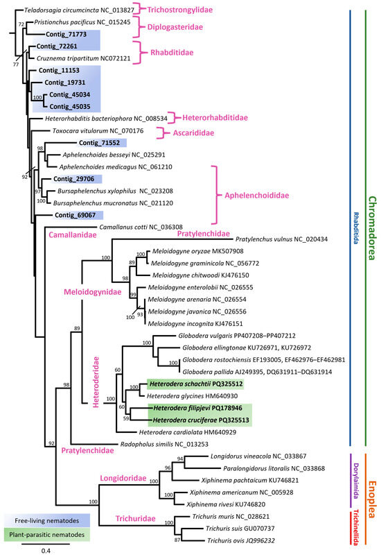 High-Throughput Sequencing Enables Rapid Analyses of Nematode ...