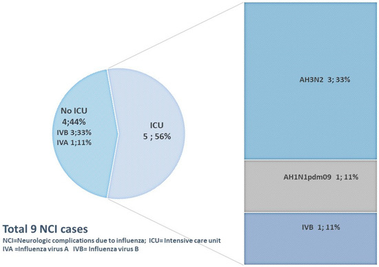 Acute Influenza Virus-Associated Encephalitis and Other Neurological ...