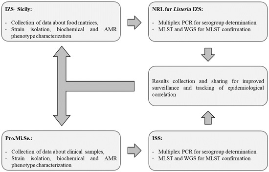 Molecular Characterization and Antimicrobial Resistance Evaluation of ...