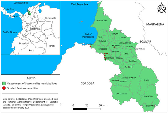 First Record of Leishmania (Viannia) sp. and High Prevalence of ...