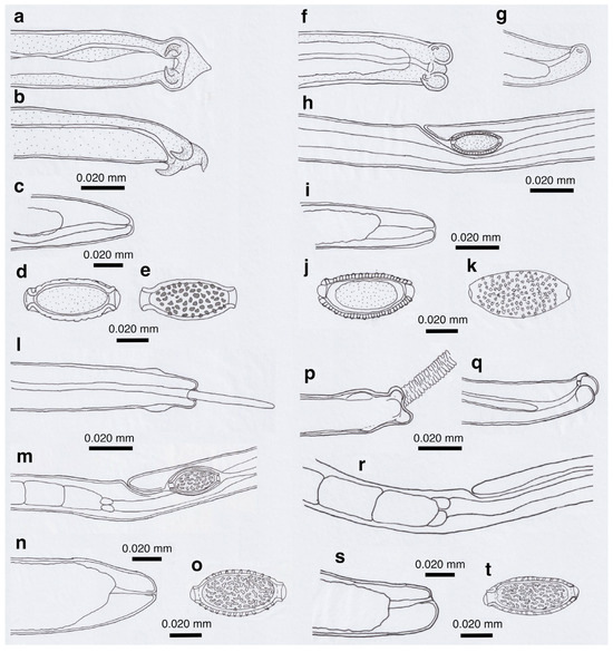 Integrated Taxonomic Approaches to Gastrointestinal and Urinary ...