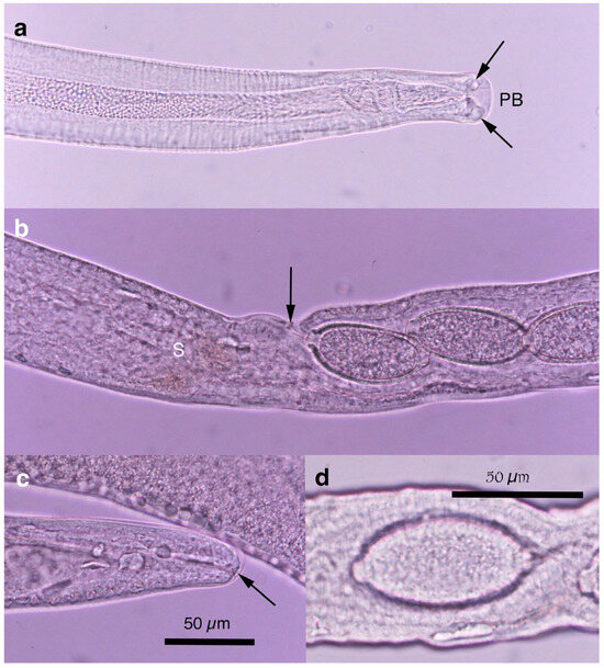 Integrated Taxonomic Approaches to Gastrointestinal and Urinary ...