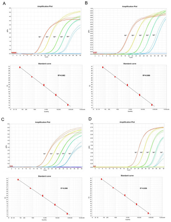 Simultaneous Detection of Classical and African Swine Fever Viruses by Duplex Taqman Real-Time ...