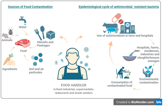 Antimicrobial Resistant Staphylococcus spp., Escherichia coli, and ...