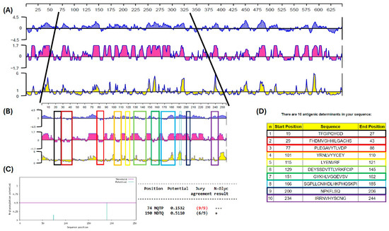 Cloning and Expression of a Truncated Form of the p72 Protein of the ...
