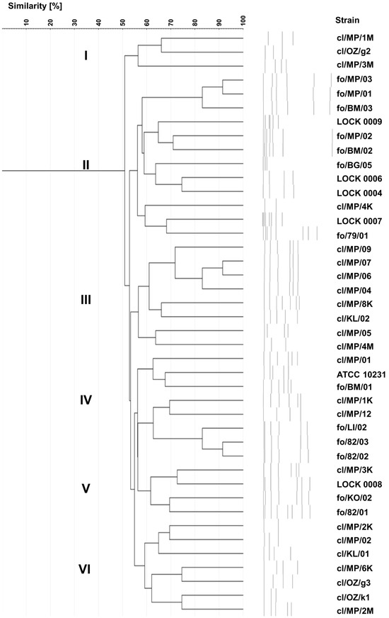 Discrimination of Clinical and Food-Derived Candida Strains Using ...