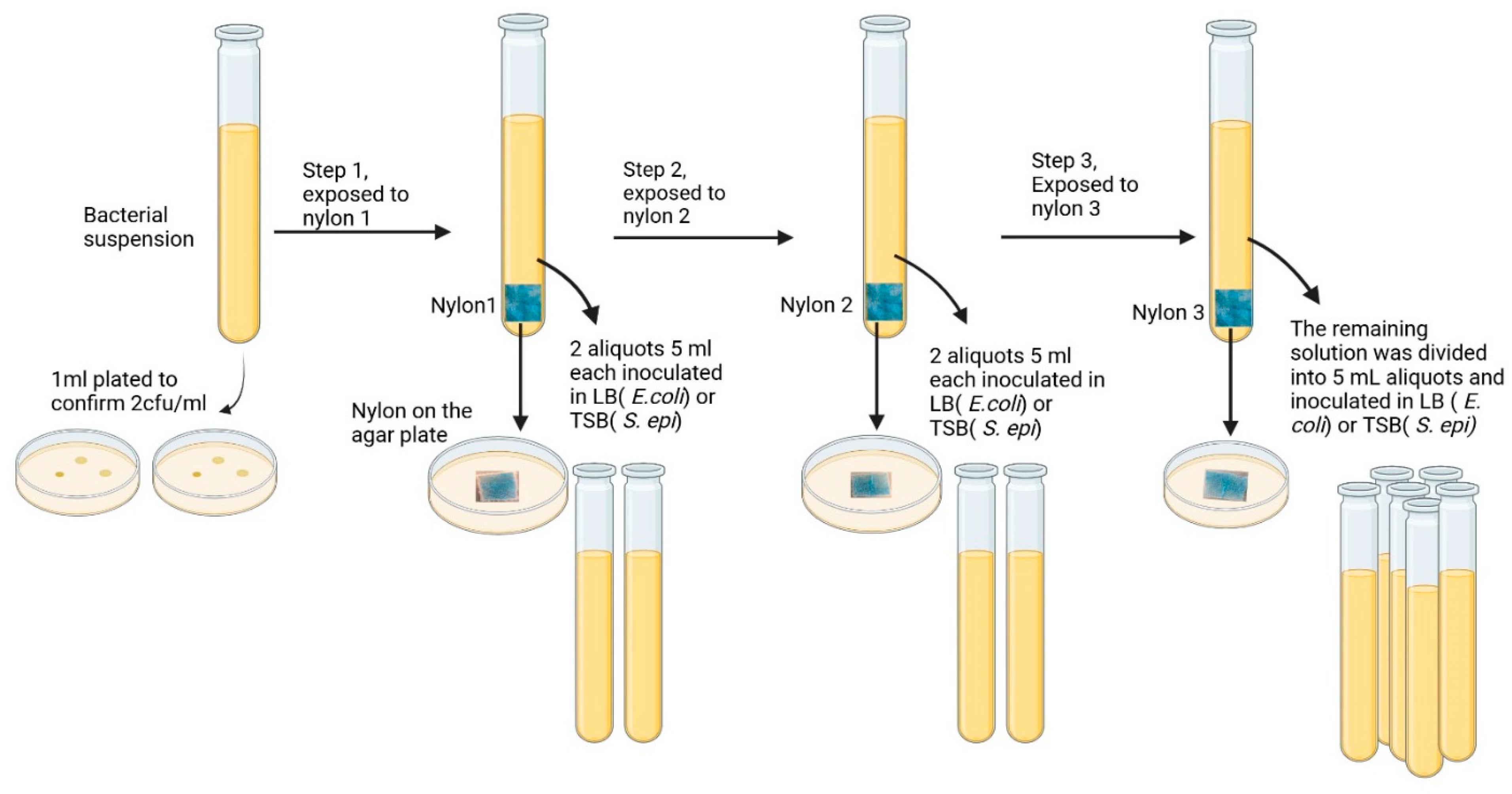 Nylon Affinity Networks Capture and Sequester Two Model Bacteria Spiked ...