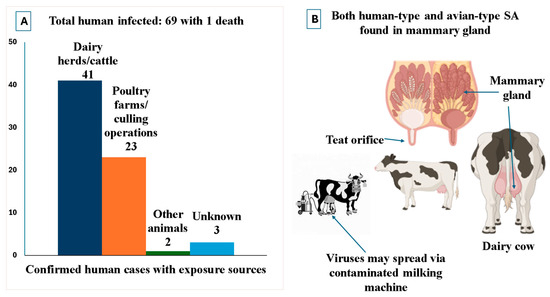 Adaptation and Outbreak of Highly Pathogenic Avian Influenza in Dairy ...