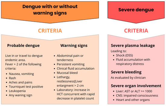 Decoding Dengue: A Global Perspective, History, Role, and Challenges