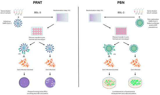 Pseudovirus-Based Neutralization Assays as Customizable and Scalable ...