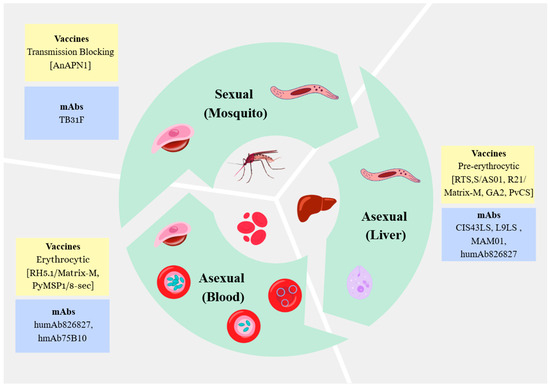 The Evolving Landscape of Malaria Prevention Strategies: A Review of ...