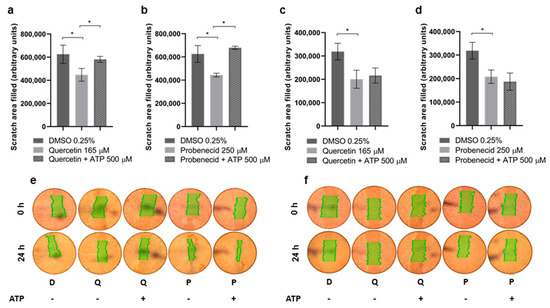 Pathophysiology | An Open Access Journal from MDPI
