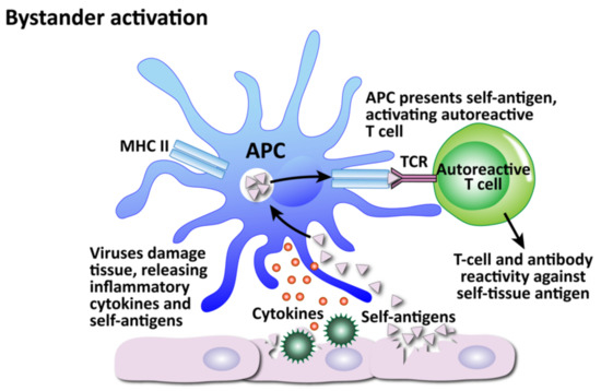 Pathophysiology | An Open Access Journal from MDPI