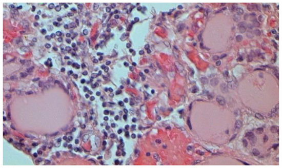Pathophysiology | An Open Access Journal from MDPI