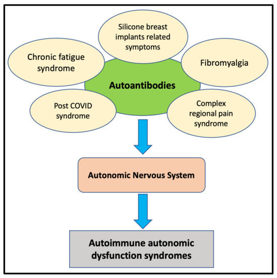 Pathophysiology | Free Full-Text | Autoimmune Autonomic Dysfunction ...