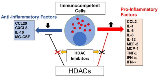Critical Functions of Histone Deacetylases (HDACs) in Modulating ...