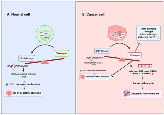 Unraveling MYC’s Role in Orchestrating Tumor Intrinsic and Tumor ...