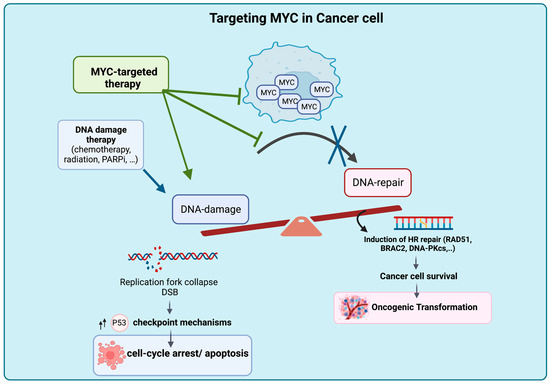 Unraveling MYC’s Role in Orchestrating Tumor Intrinsic and Tumor ...