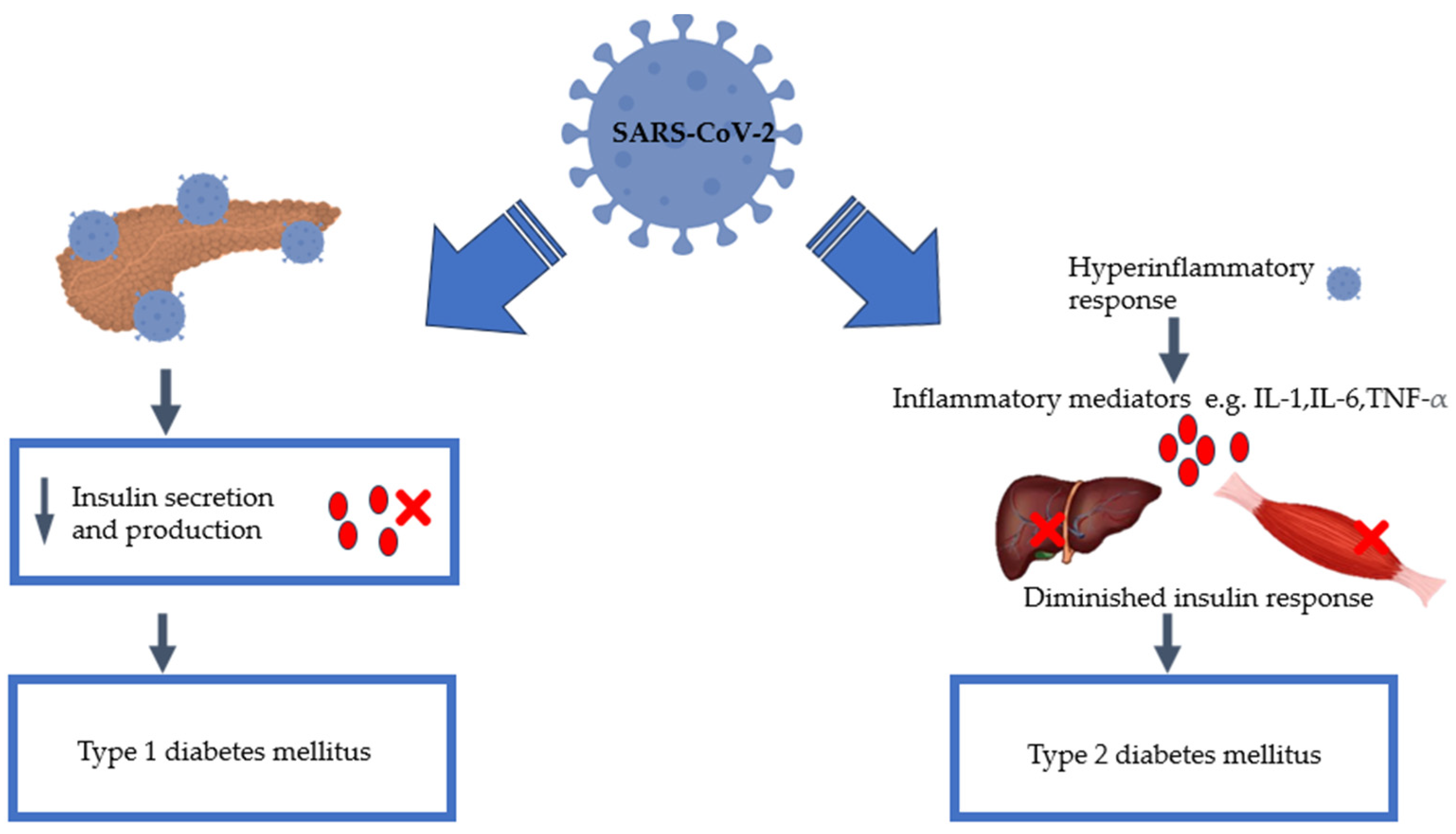 Pathophysiology, Free Full-Text🏓 Encontre jogos que permitem ganhar sem ... Pathophysiology, Free Full-Text🏓 Encontre jogos que permitem ganhar sem ...