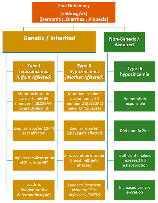 Acquired Zinc Deficiency in Preterm Infant Post-Surgery for Necrotizing ...