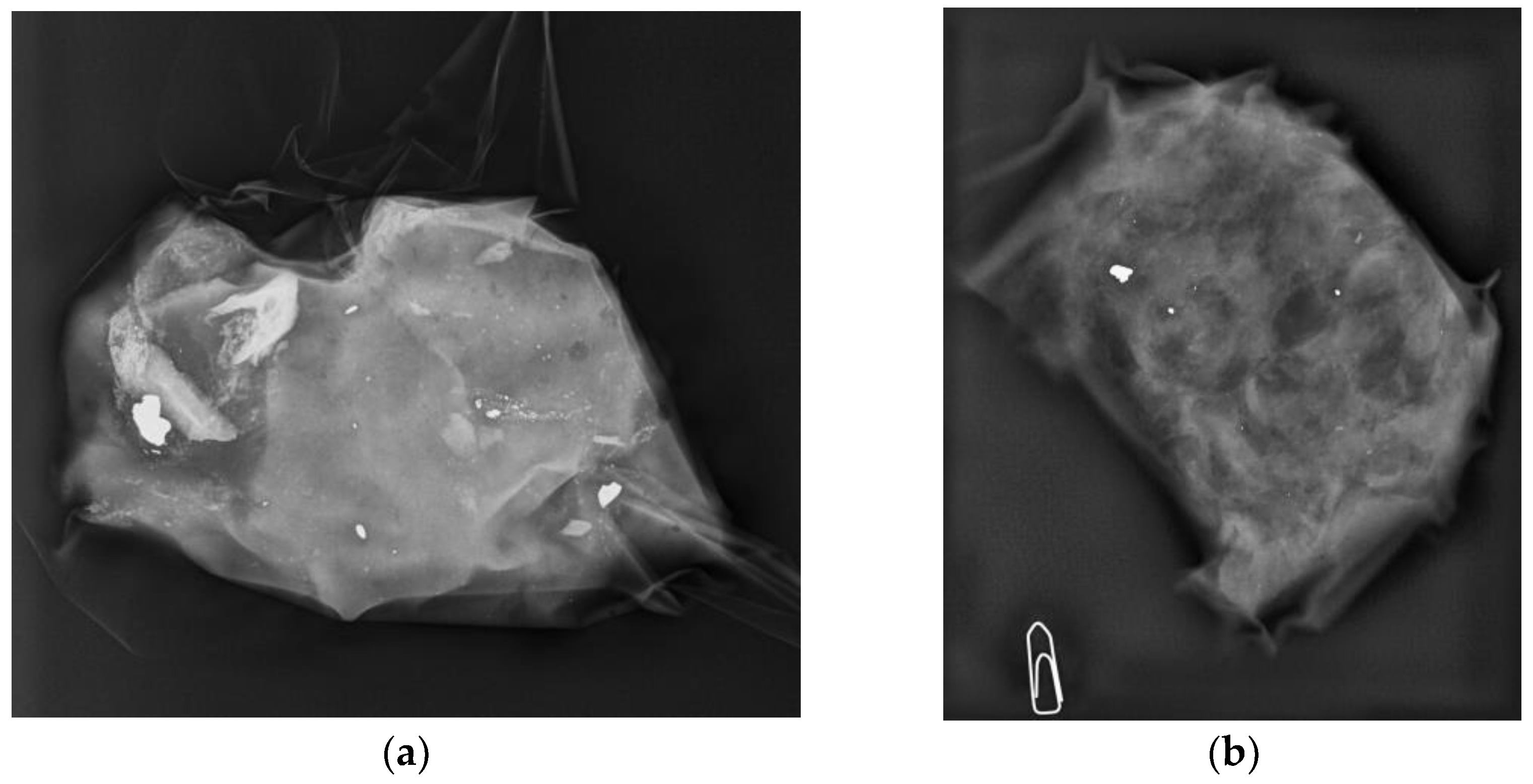 Lead Contamination in Meat and Offal from Game (Ruminants), Destined ...
