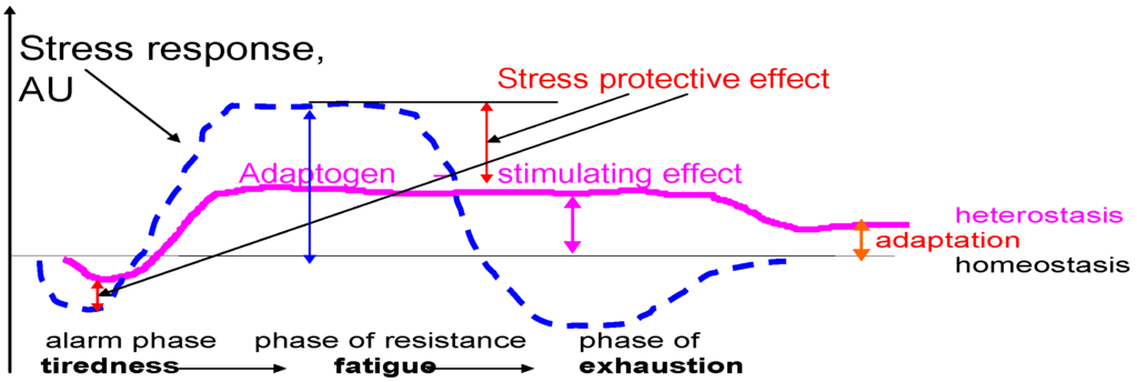 Pharmaceuticals | Free Full-Text | Effects of Adaptogens on the Central ...