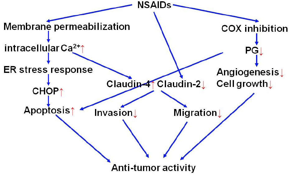 Molecular Mechanism for Various Pharmacological Activities of NSAIDS