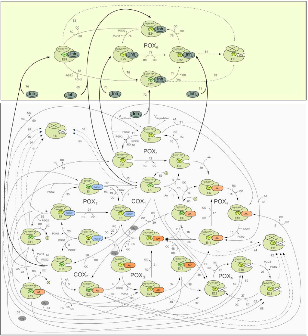 Pharmaceuticals | Special Issue : Non-Steroidal Anti-Inflammatory Drugs