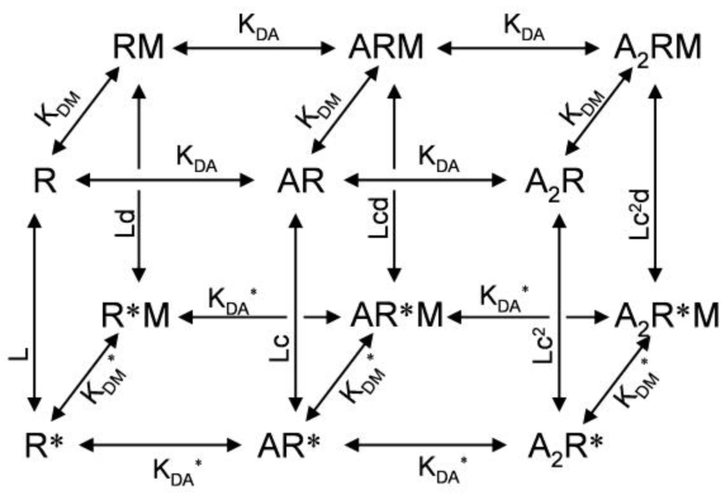 Mechanism of Allosteric Modulation of the Cys-loop Receptors