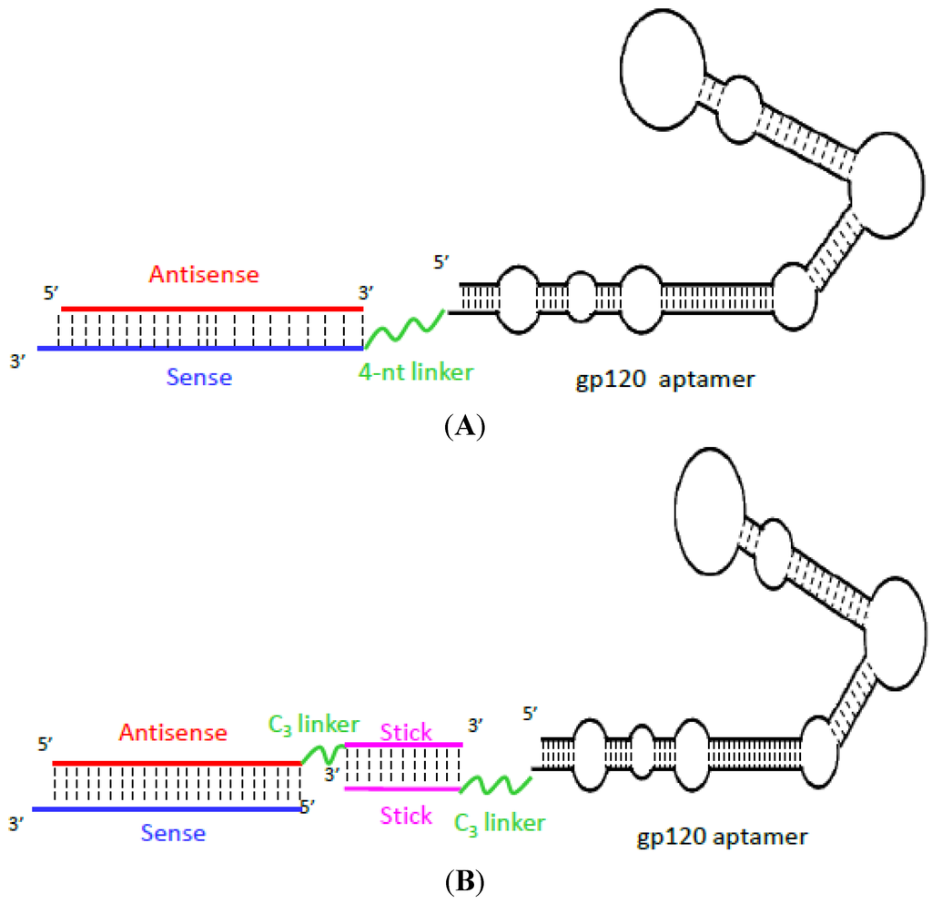 Aptamer-Based Therapeutics: New Approaches to Combat Human Viral Diseases