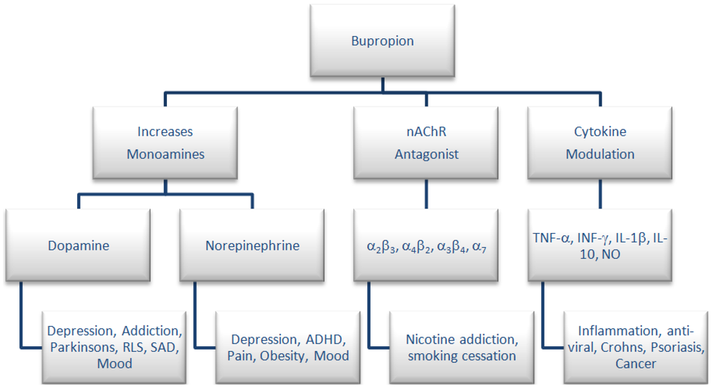 Synthesis, Screening and Pharmacokinetic Evaluation of Potential ...