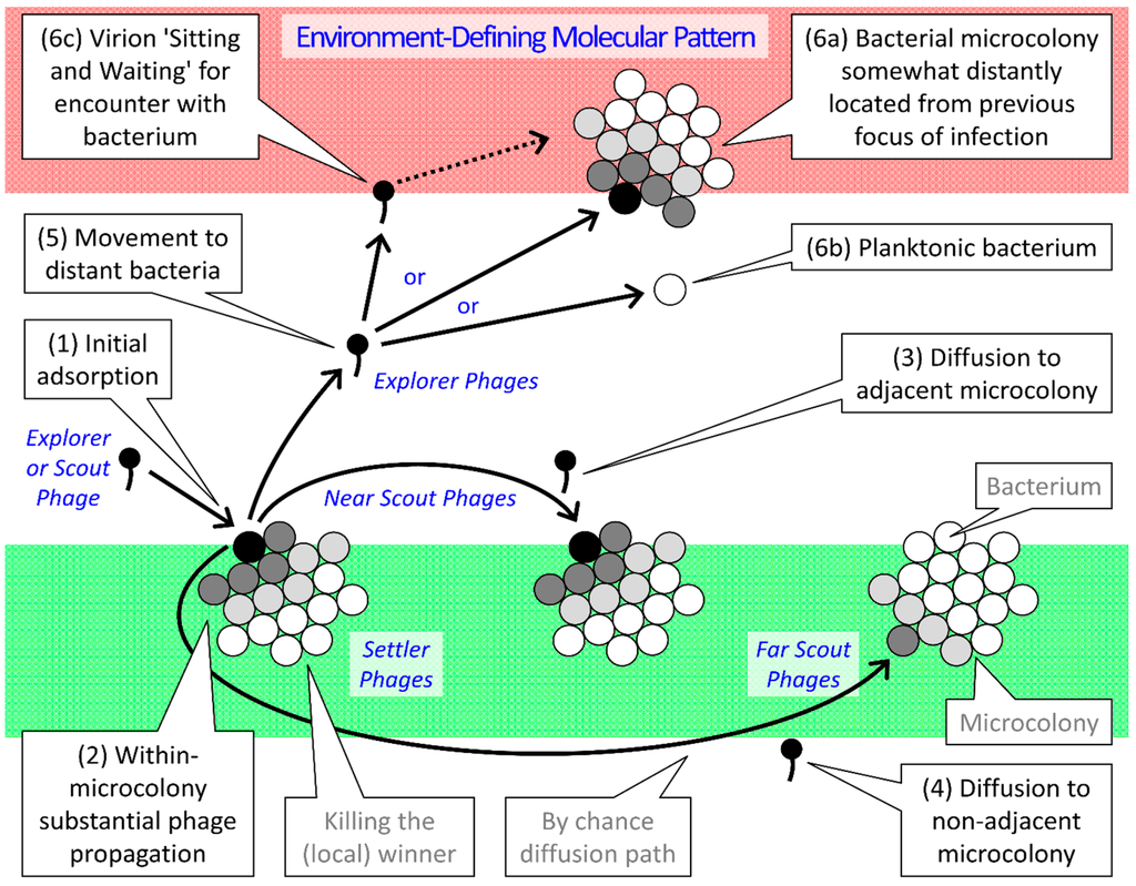Pharmaceuticals | Free Full-Text | Ecology of Anti-Biofilm Agents II ...