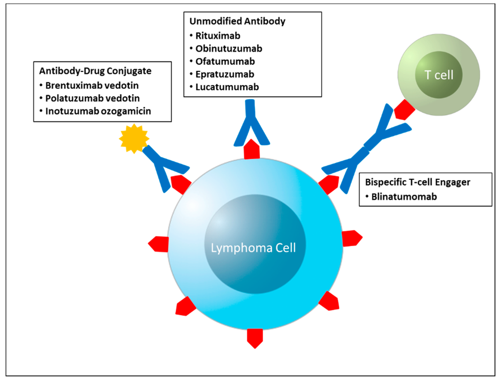 Novel Targeted Agents in Hodgkin and Non-Hodgkin Lymphoma Therapy