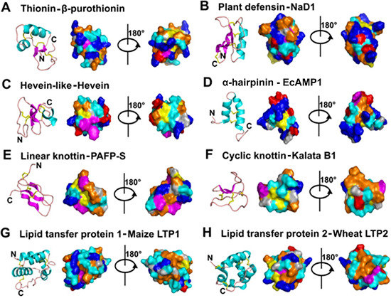Pharmaceuticals | Free Full-Text | Antimicrobial Peptides from Plants