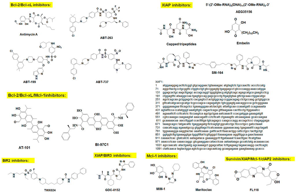 Pharmaceuticals | Free Full-Text | Targeting Cell Survival Proteins for ...