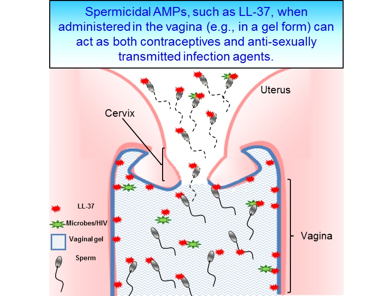 Pharmaceuticals | Free Full-Text | Potential Use of Antimicrobial ...