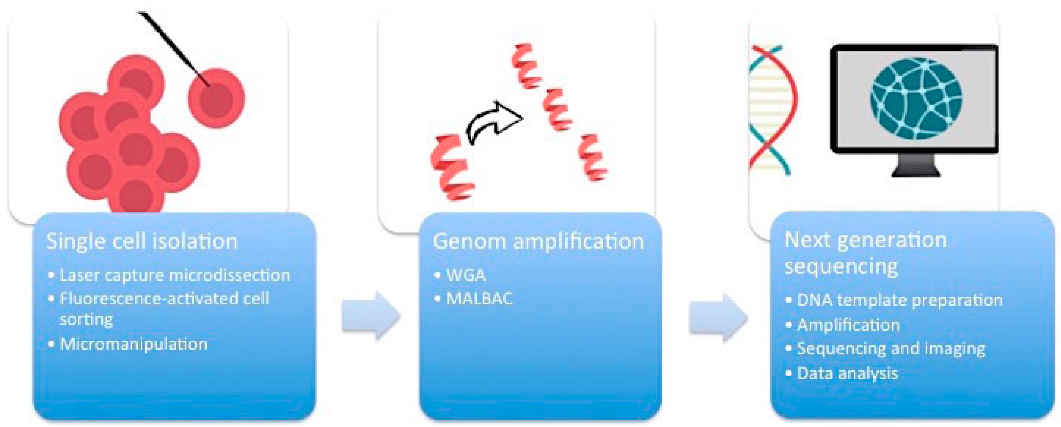 Tumor Heterogeneity, Single-Cell Sequencing, and Drug Resistance