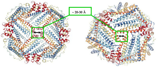 Reductive Mobilization of Iron from Intact Ferritin: Mechanisms and ...