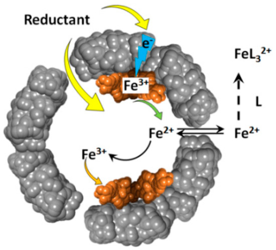 Reductive Mobilization of Iron from Intact Ferritin: Mechanisms and ...