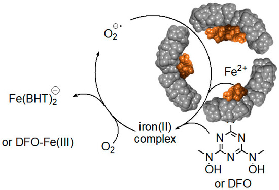 Reductive Mobilization of Iron from Intact Ferritin: Mechanisms and ...